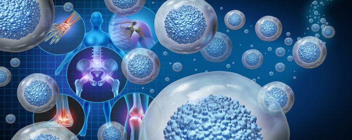 Mesenchymal Stem Cells And Osteoarthritis Stemedix Regenerative