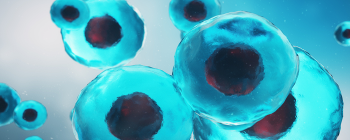 Mesenchymal Stem Cells For Managing Spinal Cord Injuries Stemedix