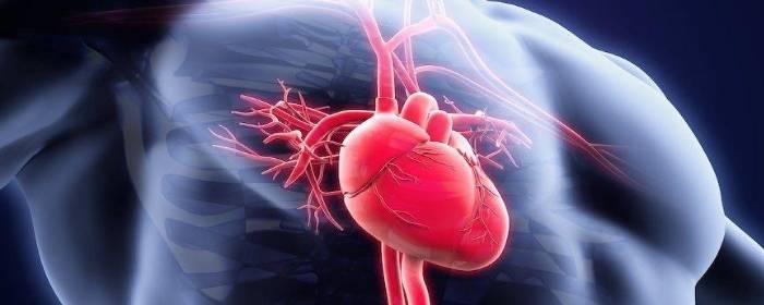 Stem Cells Injected into the Heart Can Improve Blood Flow and Heart ...