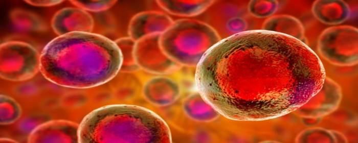 Fact or Fiction: Stem Cells in Aesthetic Surgery - Stemedix ...