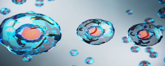 Umbilical Cord Mesenchymal Stem Cells Promote Nerve Cell Protection And