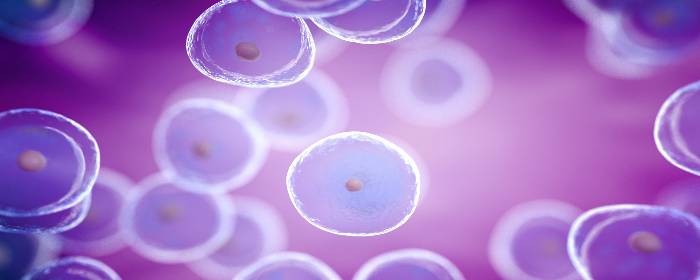 Autologous Stem Cell Treatment Research with a Youthful Approach ...