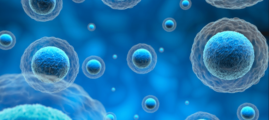 Stem Cell Therapy For Multiple Sclerosis | Stemedix | Stem Cell