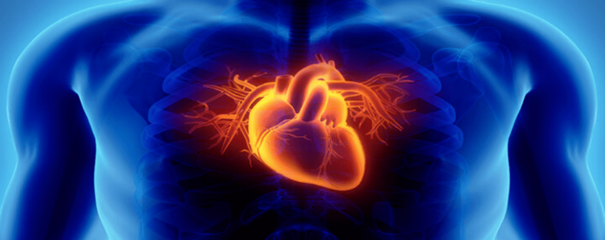 How Does Stem Cell Therapy Help Coronary Artery Disease Stemedix how-does-stem-cell-therapy-help-coronary-artery-disease-stemedix