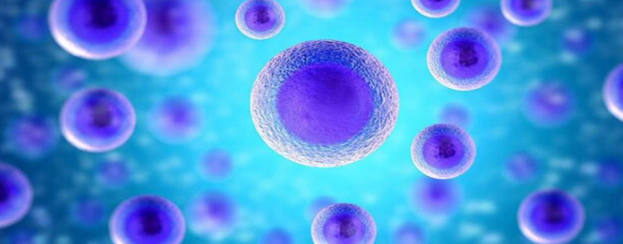 Stem Cell Transplant Benefits for Patients with MS | Stemedix