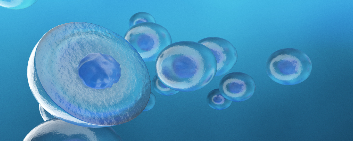 Heterogeneity Of Mesenchymal Stem Cells In Cartilage Regeneration