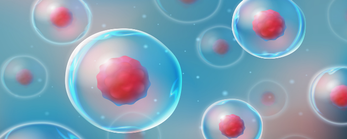 Human Mesenchymal Stem Cells Mscs For Treatment Towards Immune And