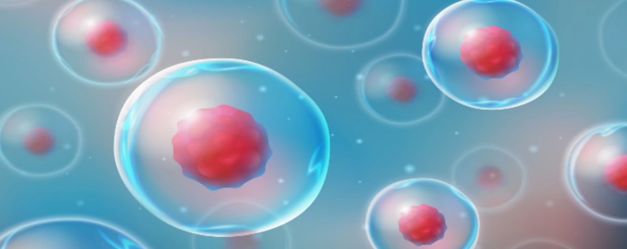 What Are Adult Stem Cells? | Stemedix | Regenerative Medicine