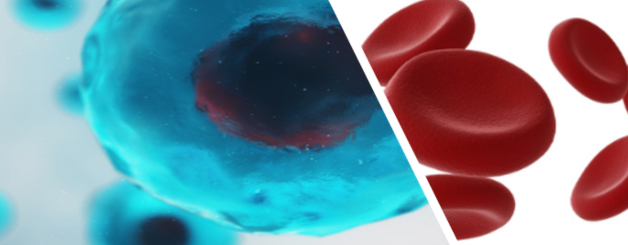PRP & Stem Cells – What is the Difference? | Stemedix