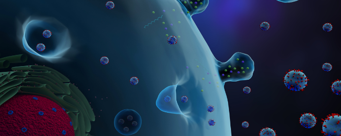 Mesenchymal Stem Cell-Derived Extracellular Vesicles as Non-Coding RNA ...