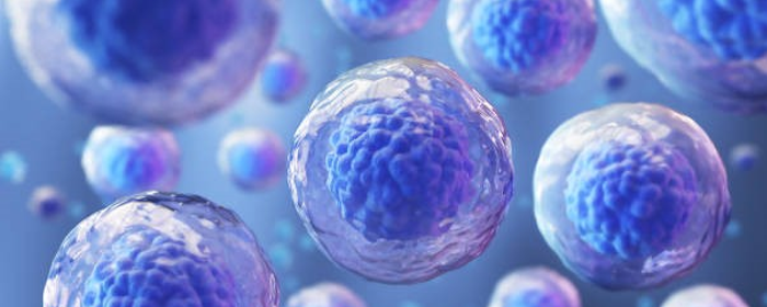 Mesenchymal Stem Cell-Derived Extracellular Vesicles and Their Role in ...